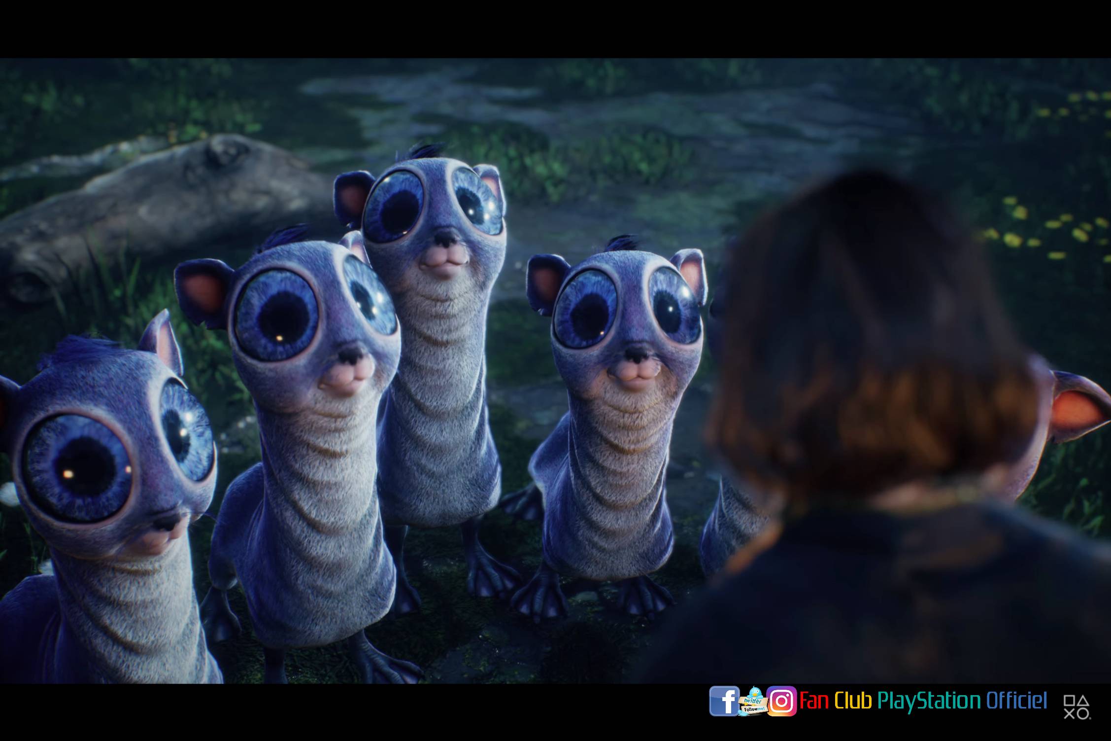 creature – Fan Club PlayStation